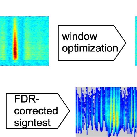 flowchart of signal processing steps trials were processed using a