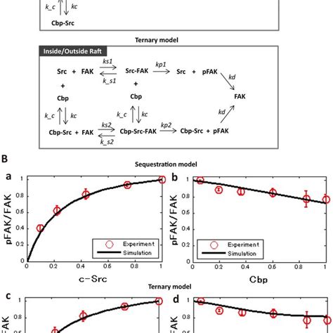 schematic representation of mathematical models a two possible
