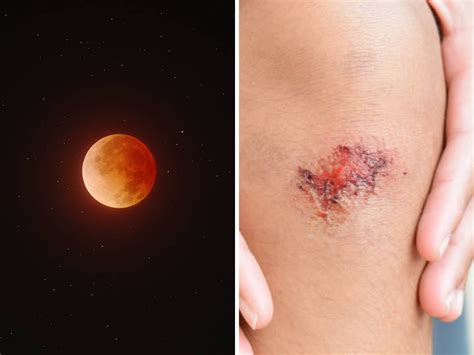 Lunar Eclipse Facts Check Does Sleeping Or Having Sex During