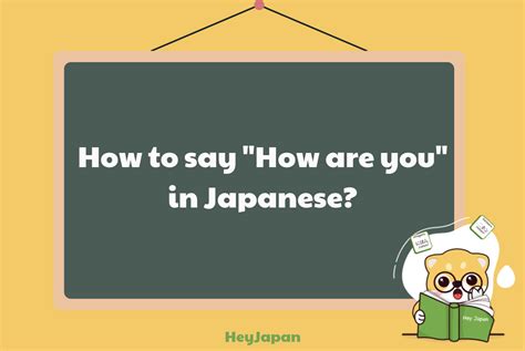 HeyJapan - TOP 1 learn Japanese for Beginners