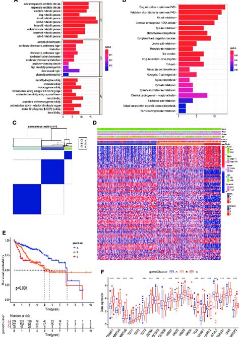 Dna Modification Pattern Related Degs And Gene Clusters In Hcc A B Download Scientific