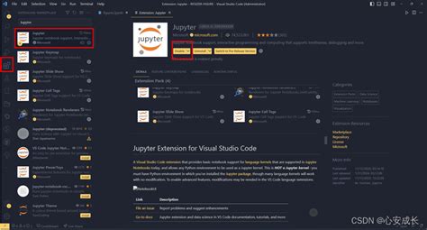 如何使用vscode上运行jupyter，详细案例过程出可视化图 Csdn博客