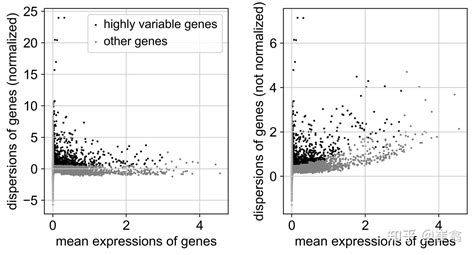 使用scanpy对geo上的scrna Seq数据进行分析 知乎 使用scanpy对geo上的scrna Seq数据进行分析 知乎