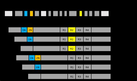 Alternative Splicing Of Mapt Produces Six Tau Isoforms Download