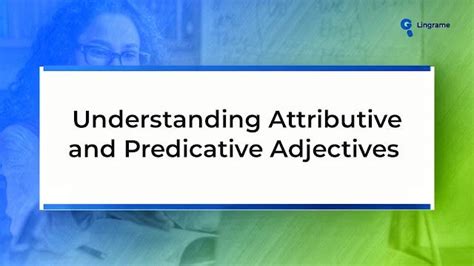 Understanding Attributive Adjectives And Predicative Adjectives In