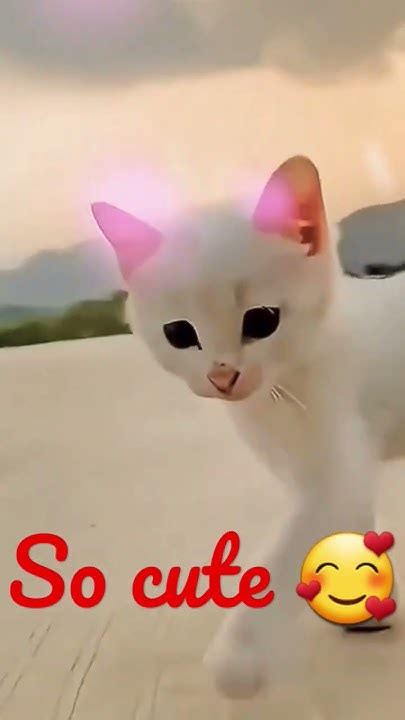 So Cute Bothes 🥰 Youtube