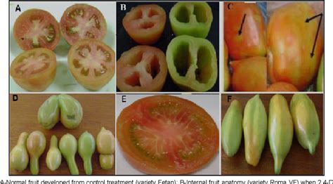 Effects Of Gibberellic Acid And 2 4 Dichlorophenoxy Acetic Acid Spray