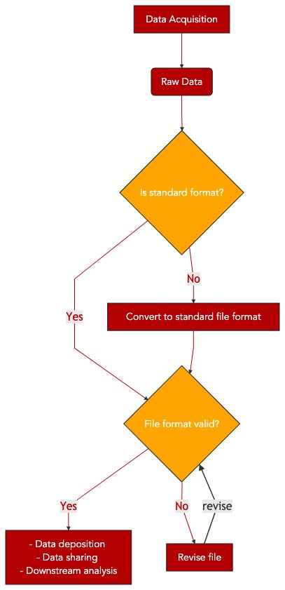 13 File Format Validation Fastq Example