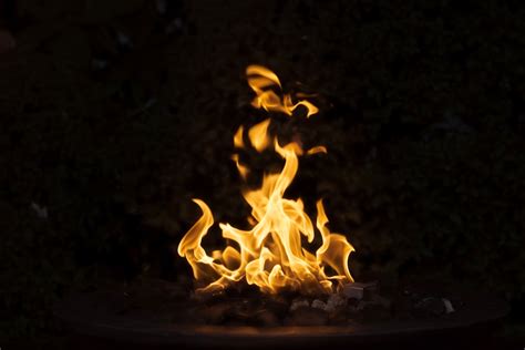 Combustion Vs Decomposition Whats The Difference This Vs That