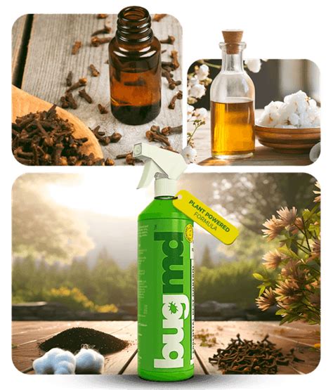 Bugmd Essential Pest Control