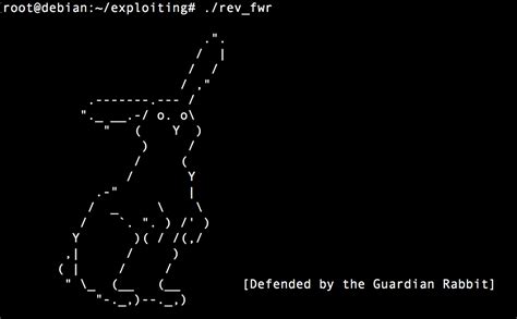 reto reversing linux binary follow the white rabbit