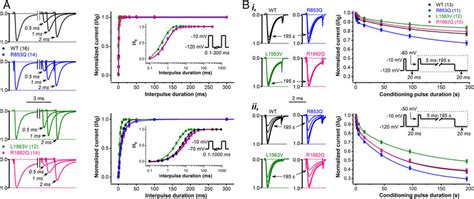 Recovery From Inactivation And Development Of Slow Inactivation In Cho Download Scientific