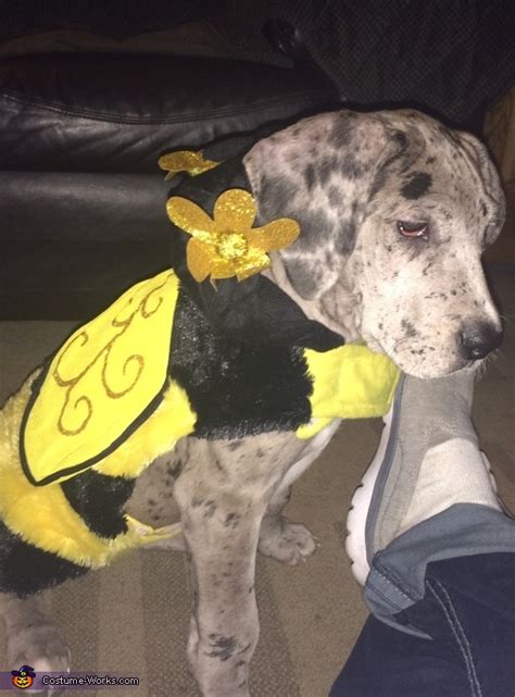 Molly The Bee Costume Coolest Cosplay Costumes