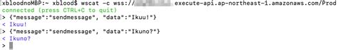 Api Gatewayaws Samgolangでwebsocket通信を行う｜デロイト トーマツ ウェブサービス株式会社（dws）公式ブログ