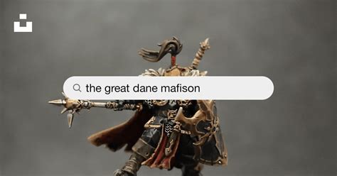 The Great Dane Mafison Pictures Download Free Images On Unsplash