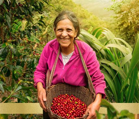 Tassimo Es Tassimo Es