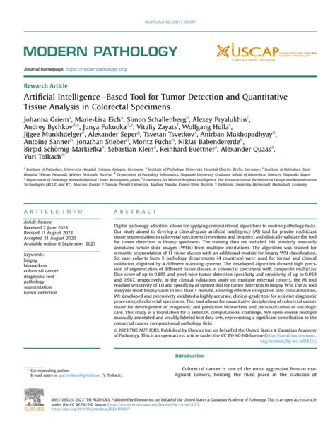 Artificial Intelligence Based Tool For Tumor Detection And Quantitative Tissue Analysis In
