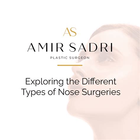 Exploring The Different Types Of Nose Surgeries Dr Amir Sadri