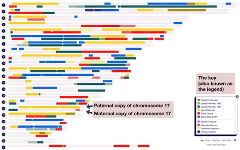 Different Views In Your Chromosome Map Did You Know DNA Painter Blog