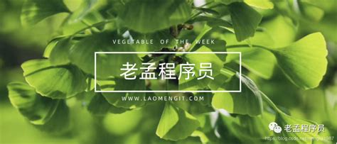 flutter 完美的验证码输入框 知乎