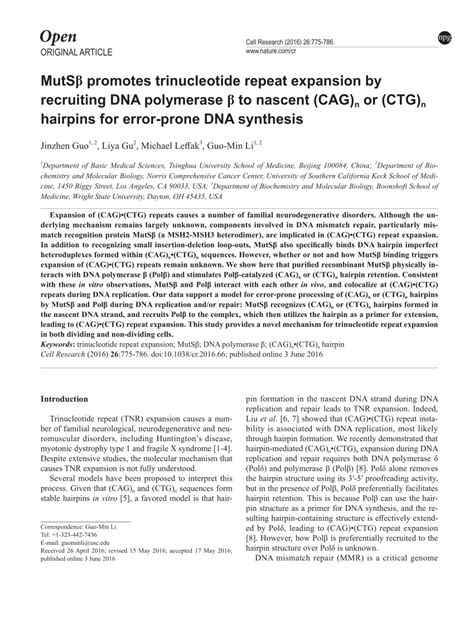 Pdf Mutsβ Promotes Trinucleotide Repeat Expansion By Recruiting Dna Polymerase β To Nascent