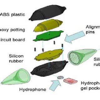 Anatomy Of A Single Array Element Download Scientific Diagram