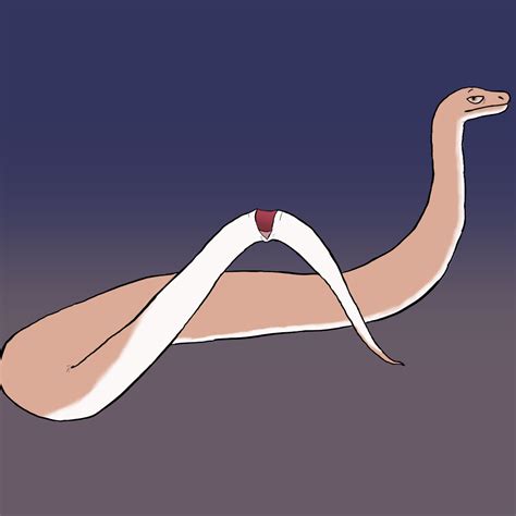 Rule 34 Anatomically Correct Animal Genitalia Bored Bored Expression