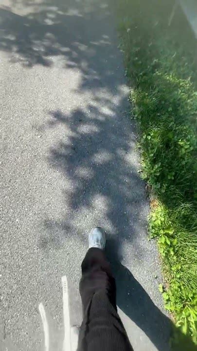 Optic Cdl Champs Callofduty Opticgaming Viral Youtube