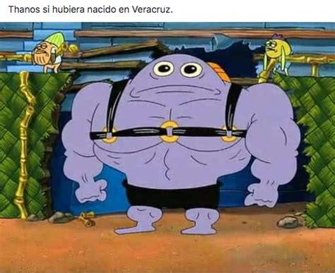 28 Memes Sacados De Las Aguas Más Profundas De Veracruz Erizos