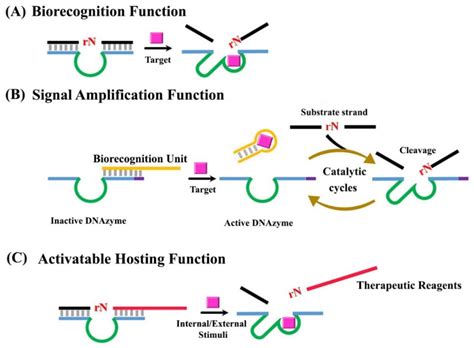 成果及论文 南京大学张晶晶课题组