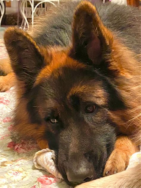 I Am Hungry Mama Hurry Up Please Ted E Bear Artofit