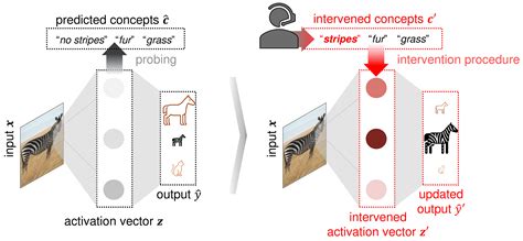beyond concept bottleneck models how to make black boxes intervenable