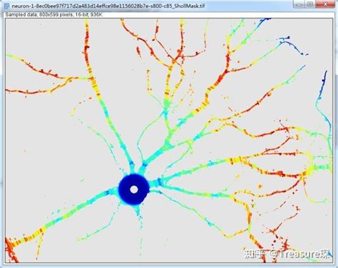 有哪些实用的imagej使用技巧? 知乎 有哪些实用的imagej使用技巧? 知乎