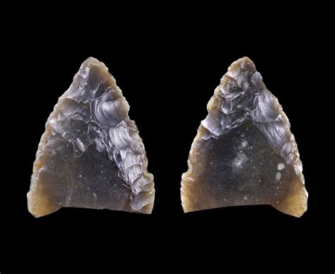 Leaf Shaped Arrowhead Virtual Museum