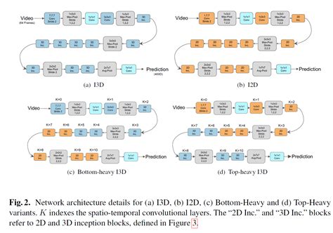 Action Recognition Models Two Stream Tsn C3d R3d T3d I3d S3d Slowfast X3d