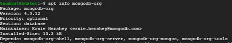 How To Install MongoDB On Debian