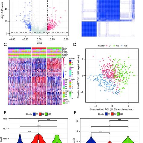 Consensus Clustering Analysis Based On Dms A For Dms Of Immune Genes