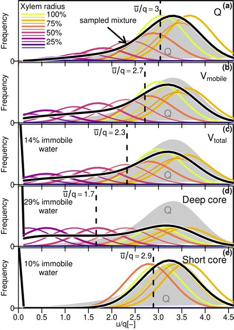 Tracer Transport Velocity Distributions Captured By A Sample Thick