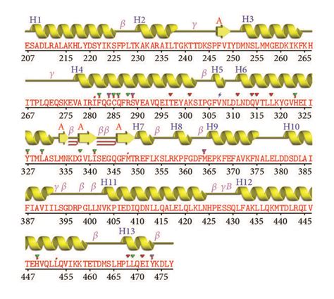 Postdocking Interactions Between Active Site Residues Of Ppar Gamma