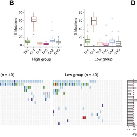 Gene Mutations Related To Pdac Glycolysis A The Tumor Mutation