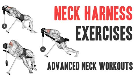 Weighted Neck Harness Exercises Advanced Neck Workouts