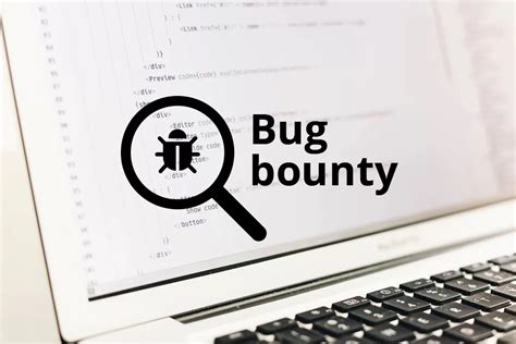 Exploring Bug Bounty Programs Unlocking Their Benefits And Types Cls Learn