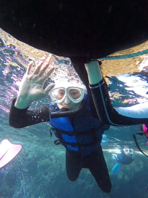 Photos Ye Zhangs Homepage