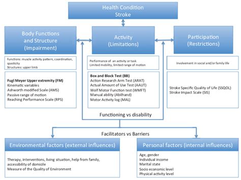 5 International Classification Of Functioning Levels And Subdivisions