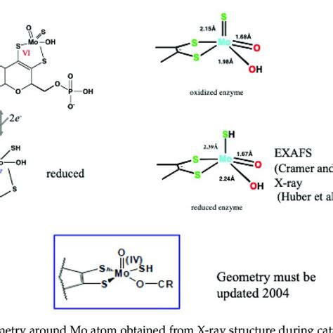 Geometry Around Mo Atom Obtained From X Ray Structure During Catalysis