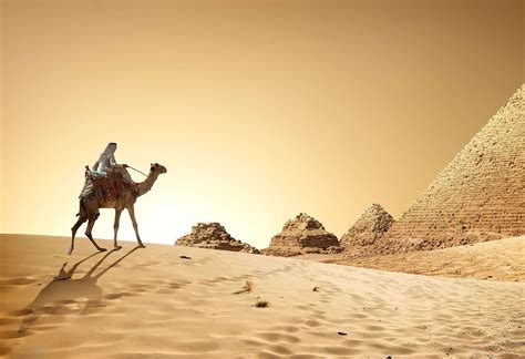 Camera Shots Anglesmovementsframes