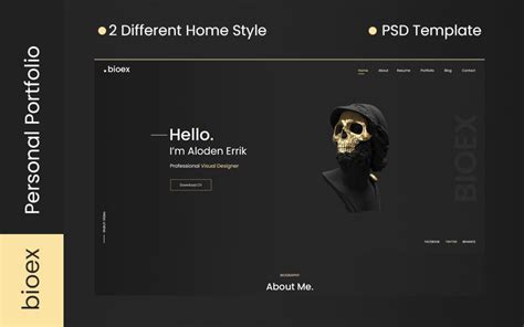 Lilyfer Personal Portfolio PSD Template TemplateMonster