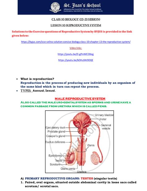 Biology Reproductive System