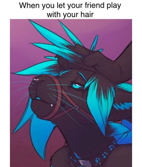 Furry💆‍♀️irl R Furry Irl
