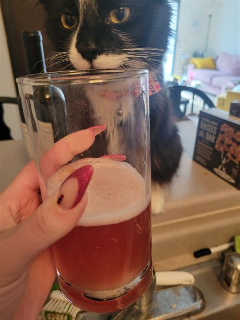 Quality Control Inspecting My Cherry Rose Jun R Kombucha
